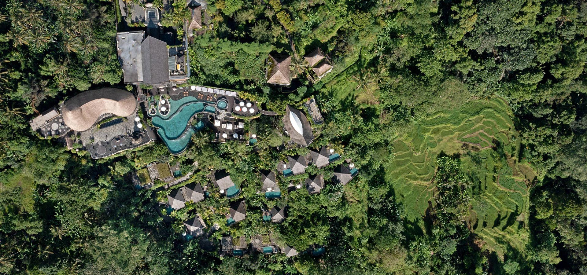 Kayon - The Kayon Jungle Resort - Truly Ubud Escape